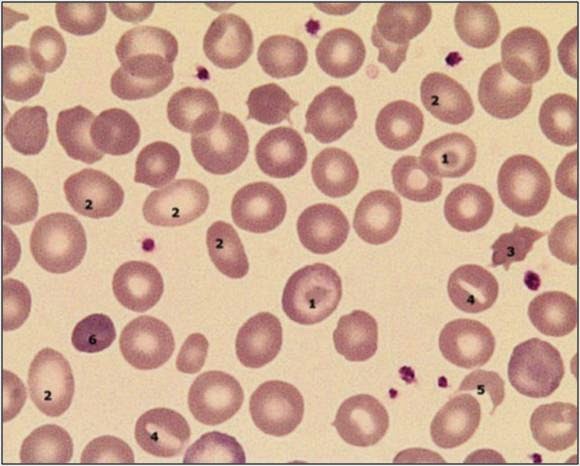 TEMPAT BELAJAR DAN BERBAGI