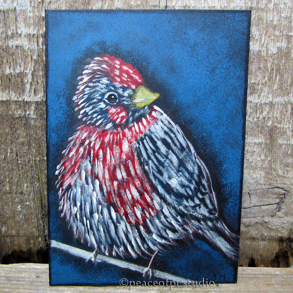 peaceofpi studio: Red Finch Bird Miniature ACEO Painting