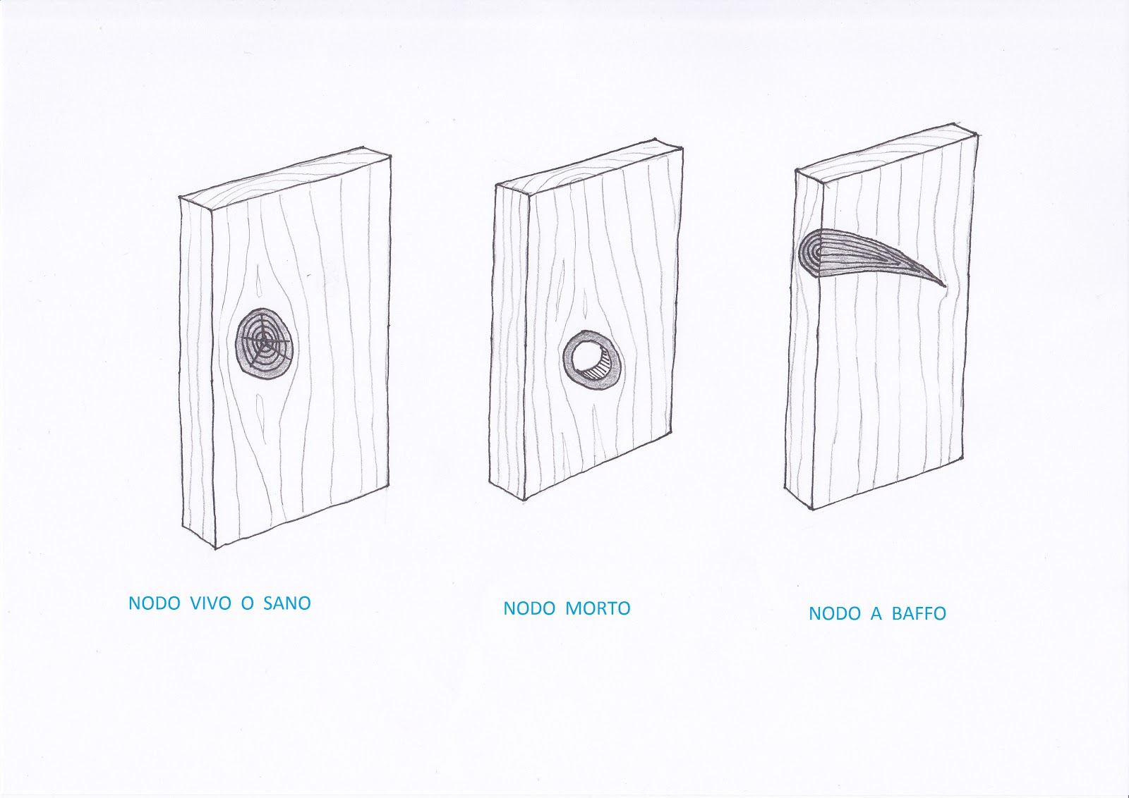 Costruiamo i mobili: I DIFETTI DEL LEGNO