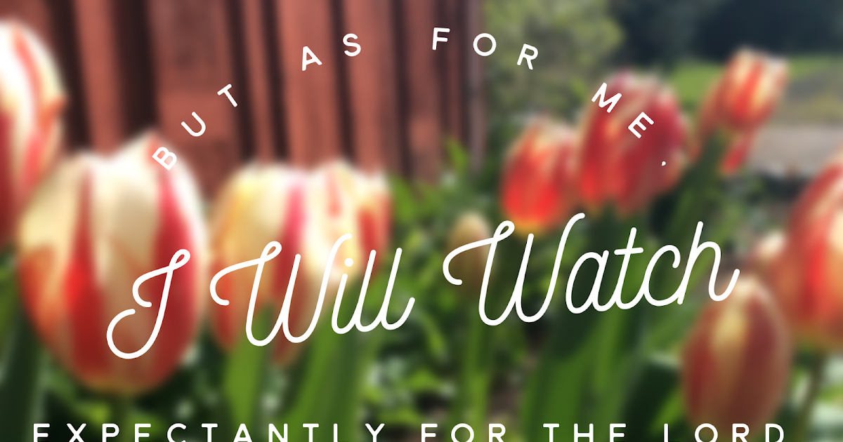 Morning Glory Devotions: Micah 7:7 Waiting Expectantly for the LORD ...