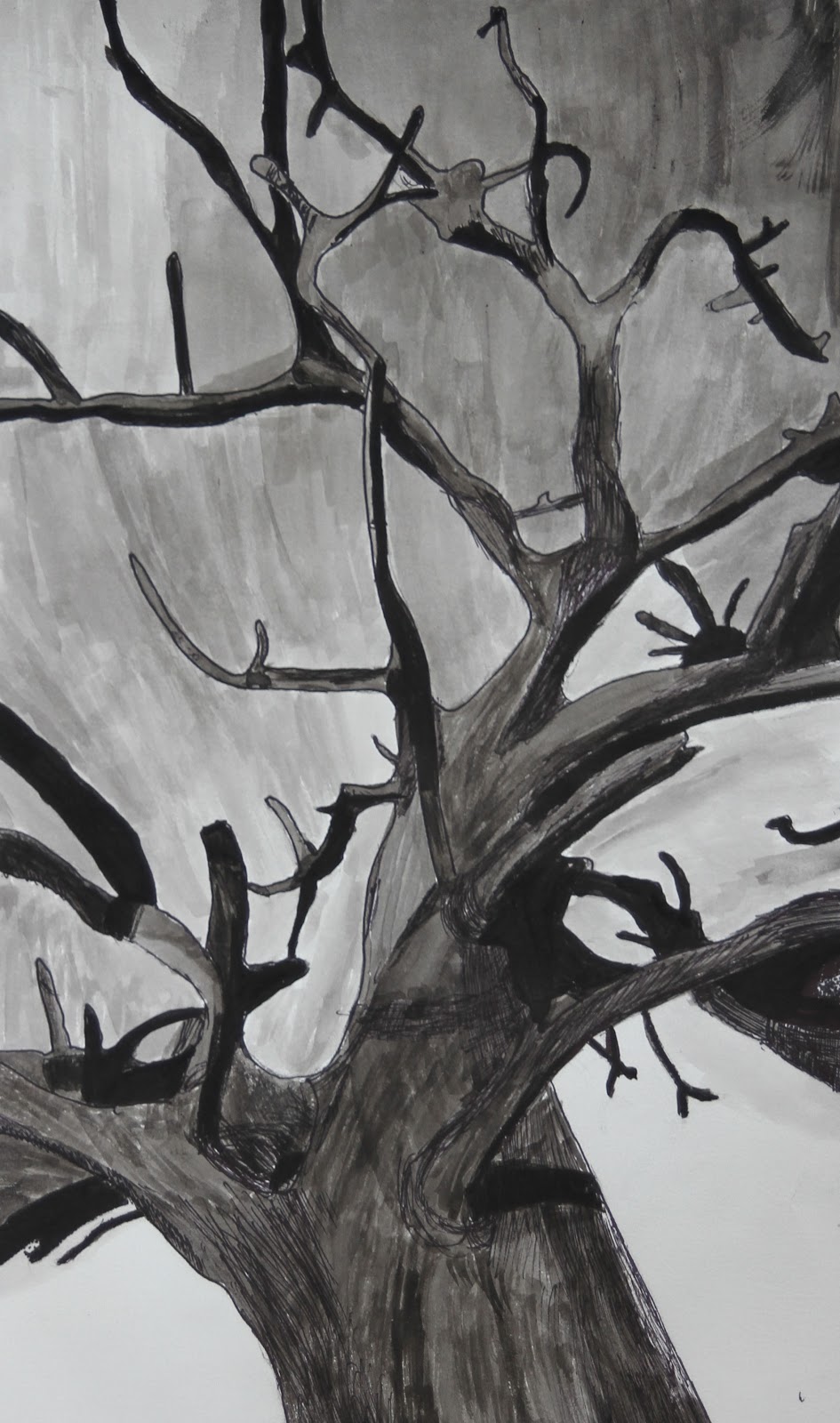 Student Art: Pen & Ink Trees