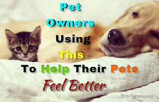 Pets N More: Pet Owners Using This To Help Their Pets Feel Better