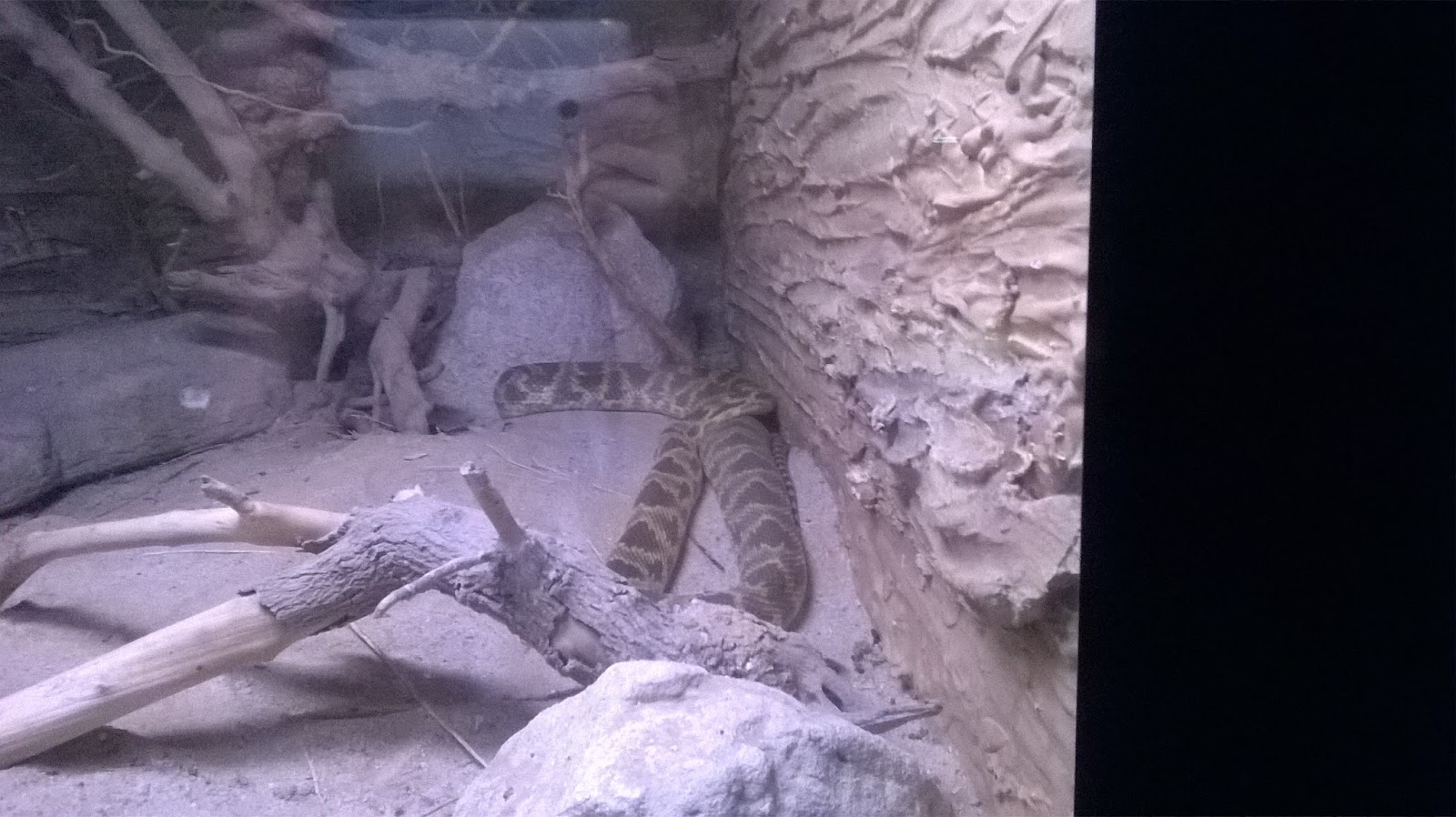 KuWAIT for it...: The Scientific Center