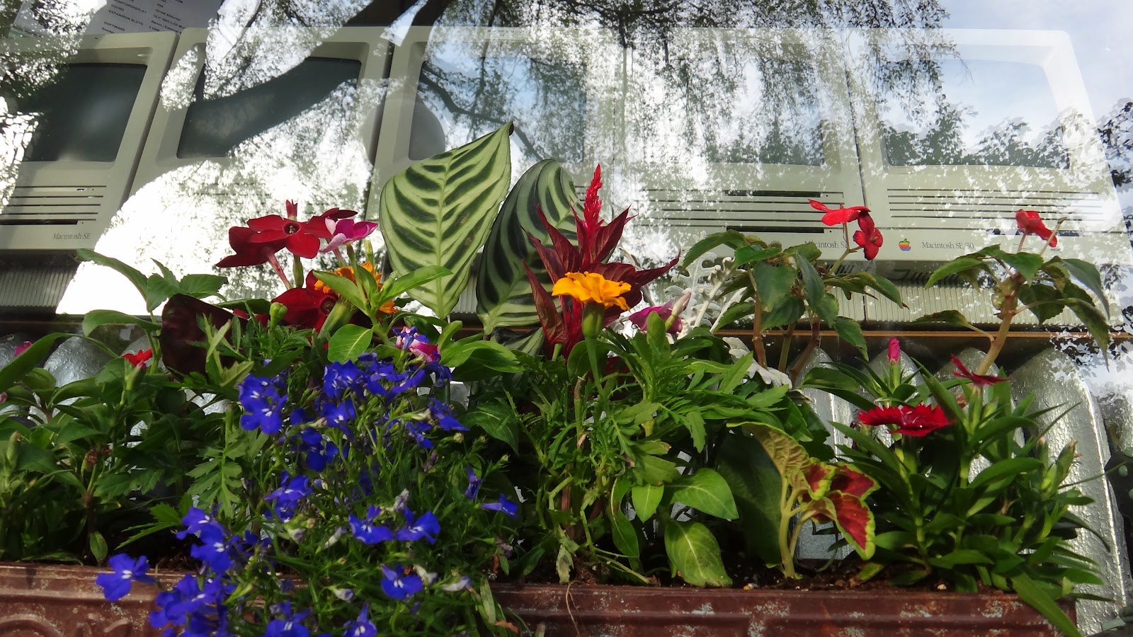 Rogers Park Chamber of Commerce: Tu-Bloom at Quest Network Services