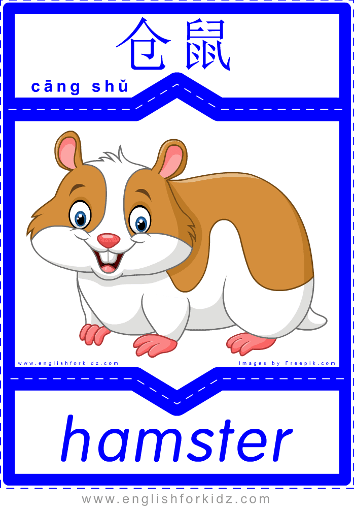 English-Chinese Flashcards: Pets
