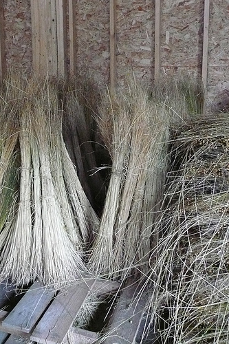flax to linen victoria bc: Harvest