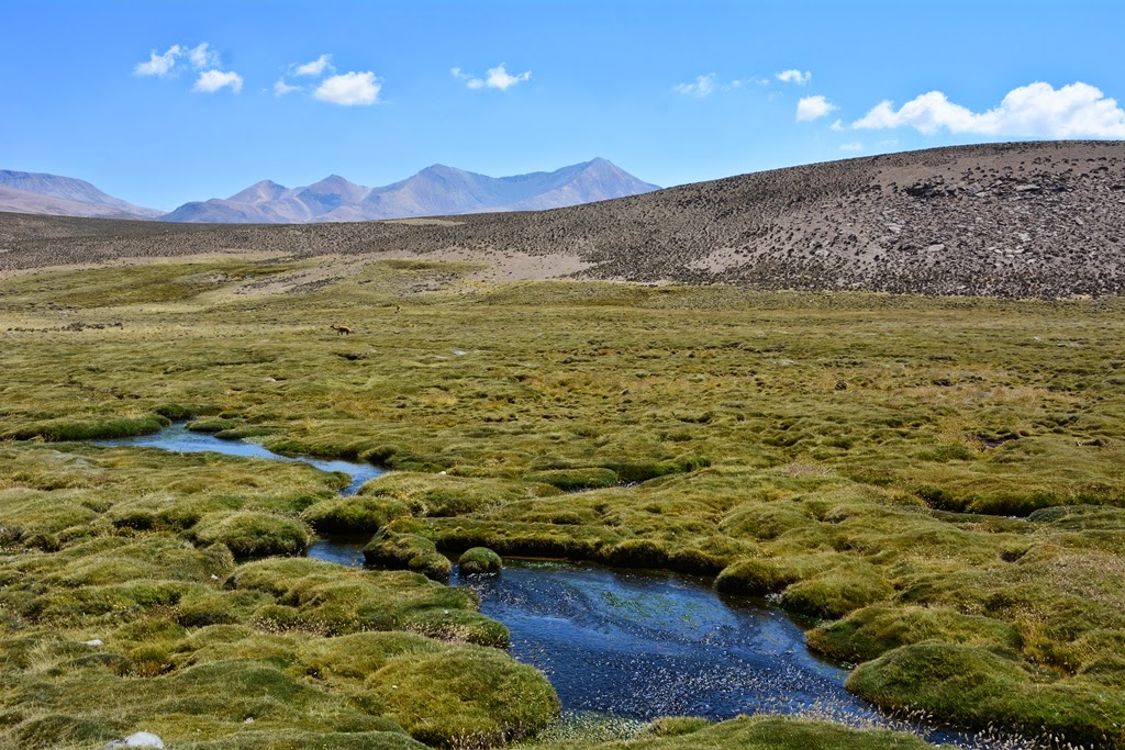 Travels - Ballroom Dancing - Amusement Parks: The wonder of nature at ...