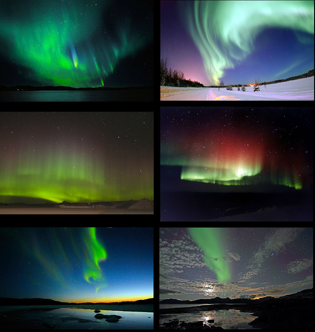 Under The Angsana Tree: The Northern and Southern Lights