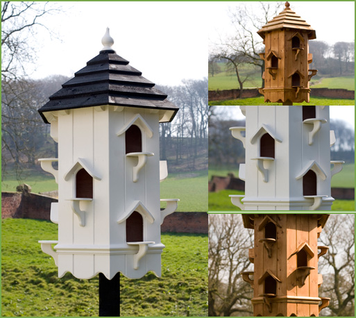 Temperate Climate Permaculture: A Brief Intro to Dovecotes and Raising ...