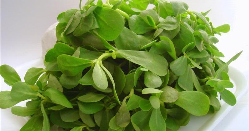 Muhterem'le Afiyetle: SEMİZOTU TARİFLERİ