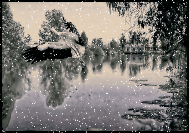 Gifs animados frio - Imagui