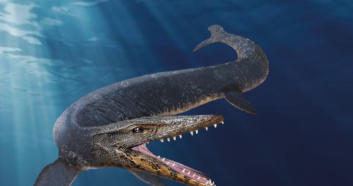 Jan Daanen - Lizard of the Meuse River