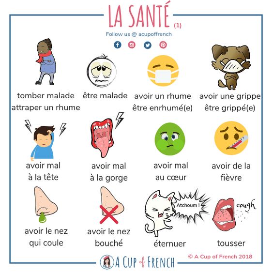 LA PROF DE FLE: La santé