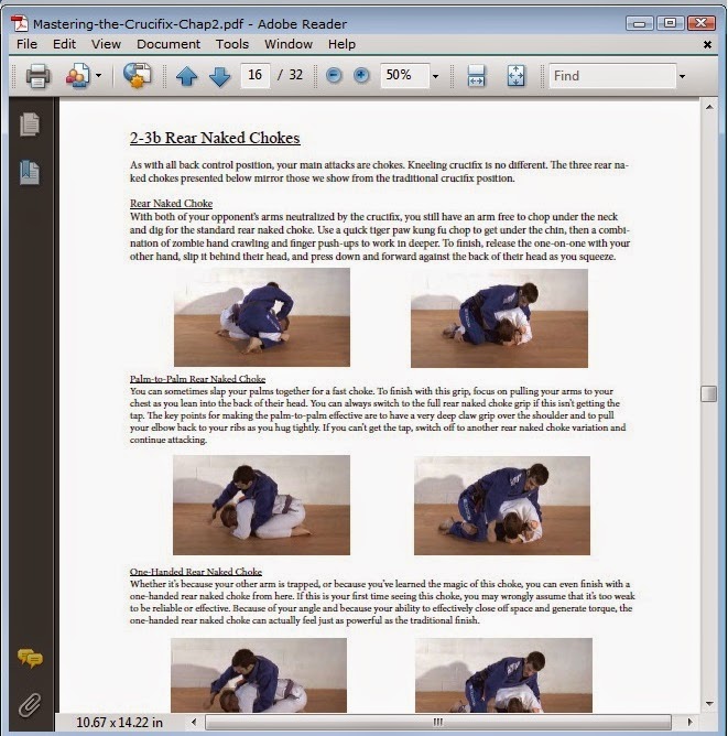 slideyfoot.com | bjj resources: Book Review - Mastering the Crucifix ...