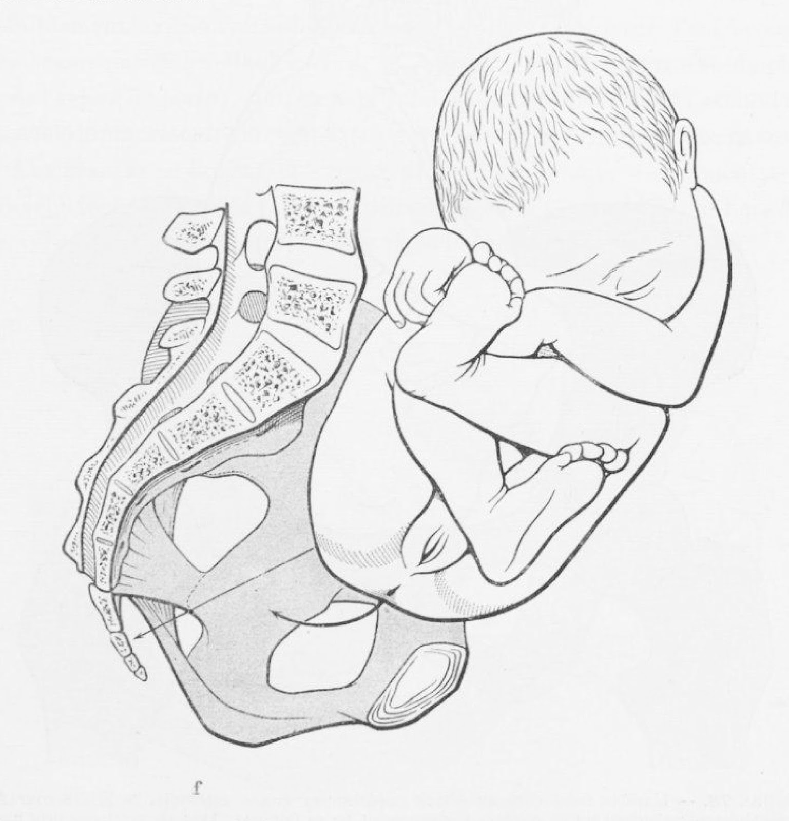 Stand and Deliver: Illustrations of the breech mechanisms from a 1908 ...