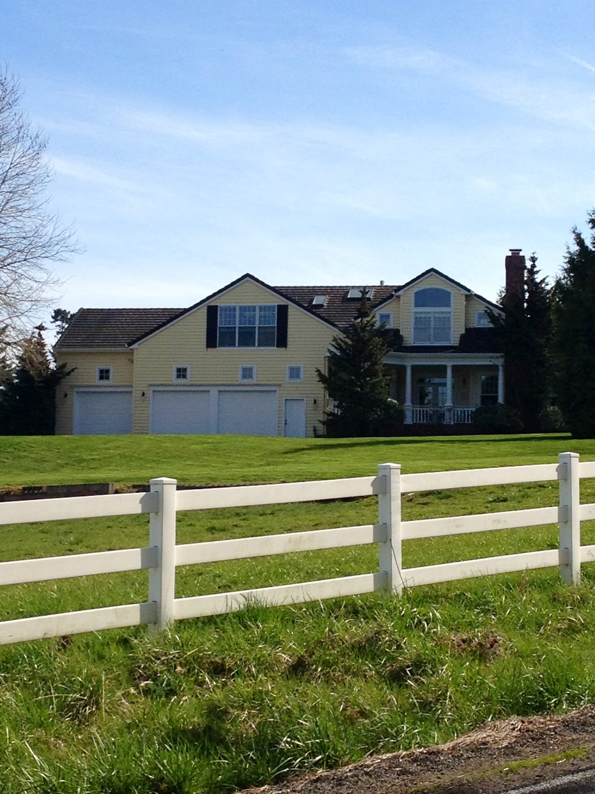 Everyday Things From my Life: Fun Things This Week