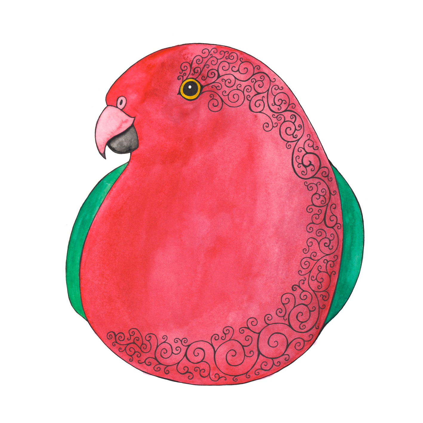 Tara Seekamp's Art Blog: King Parrot
