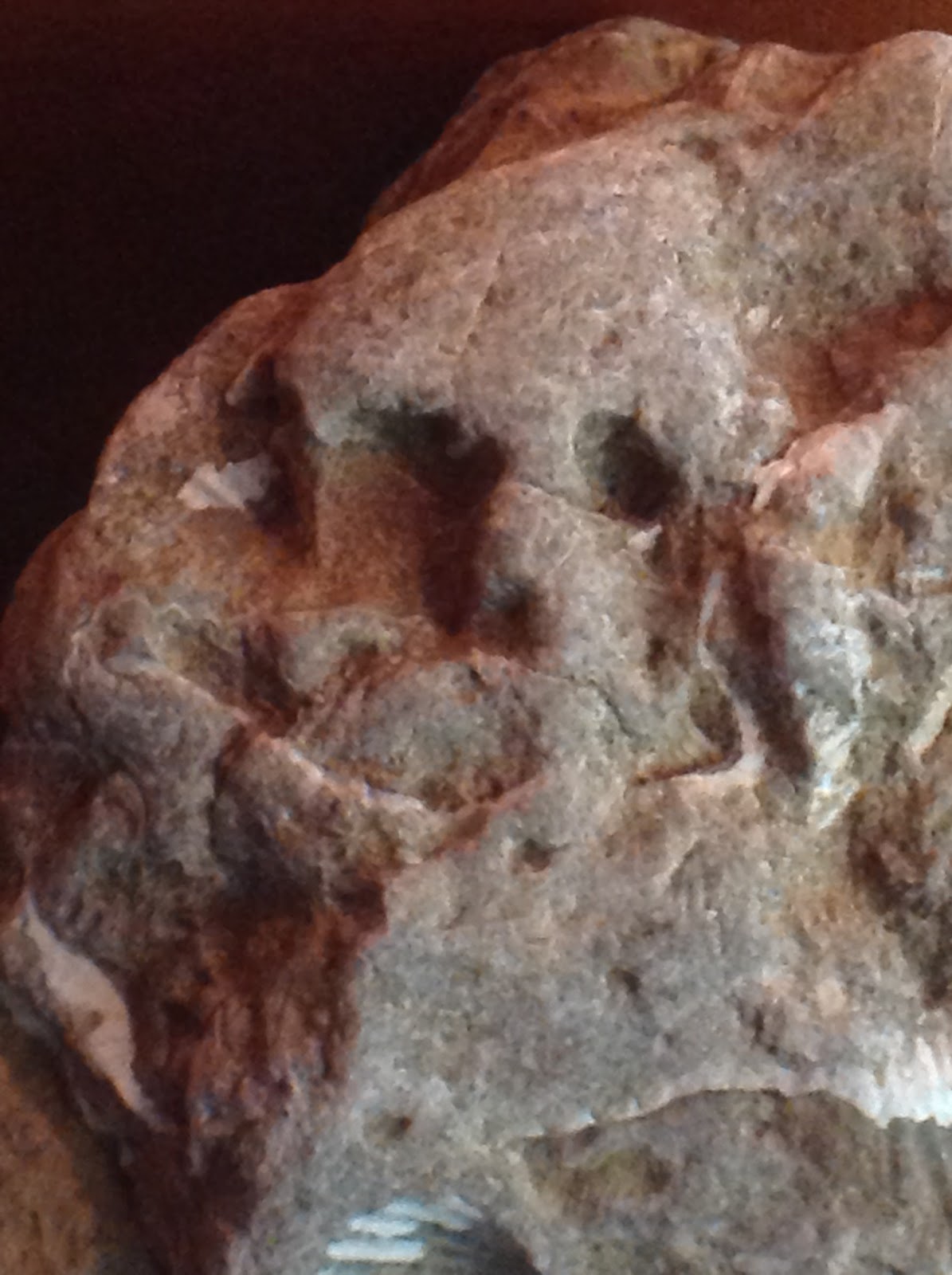 Lambton Rocks: Another Fossil Face: Part One