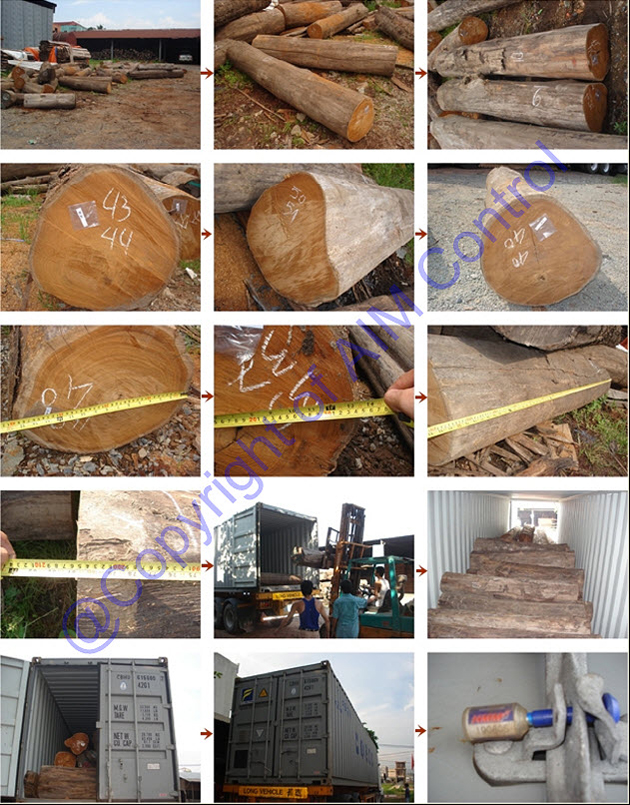 GIÁM ĐỊNH GỖ / FOREST WOOD INSPECTION AND QUALITY CONTROL, VIETNAM, ASIA