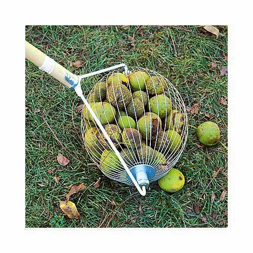 Southern Garden Tools: How Do You Gather Your Nuts?