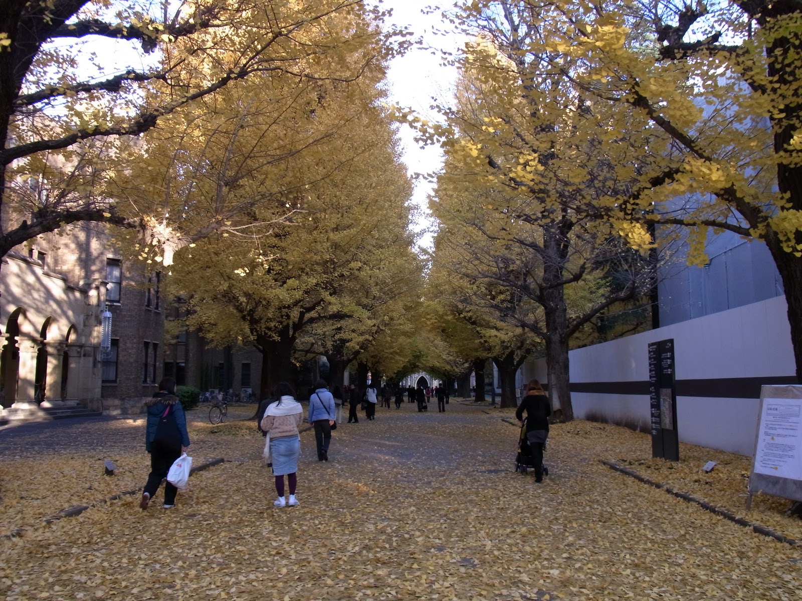 Casual Japanese Bystander: Todai's Hongo Campus