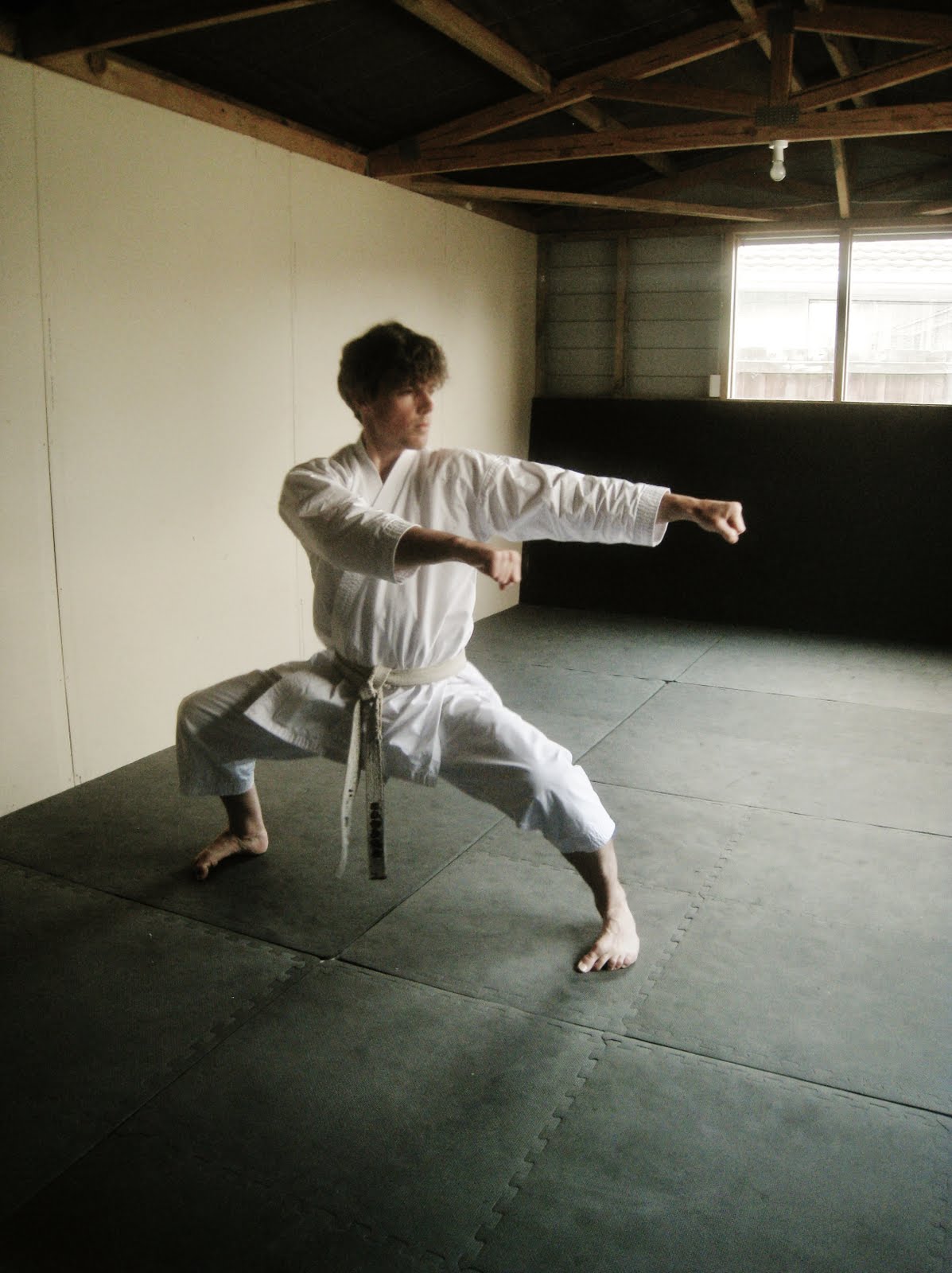 André Bertel's Karate-Do: TACIT KARATE