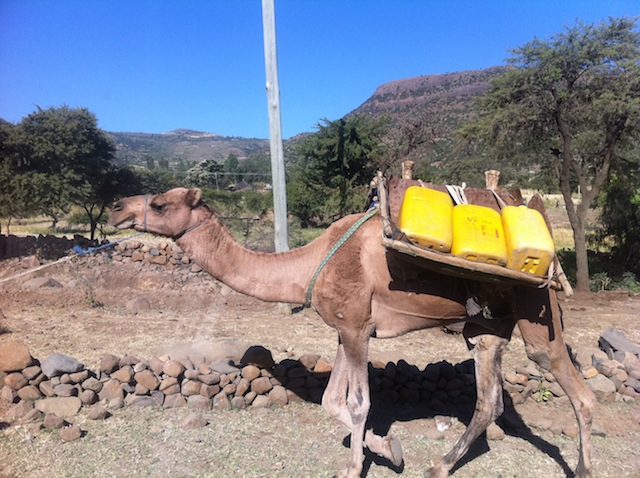 africa blog: October 2011