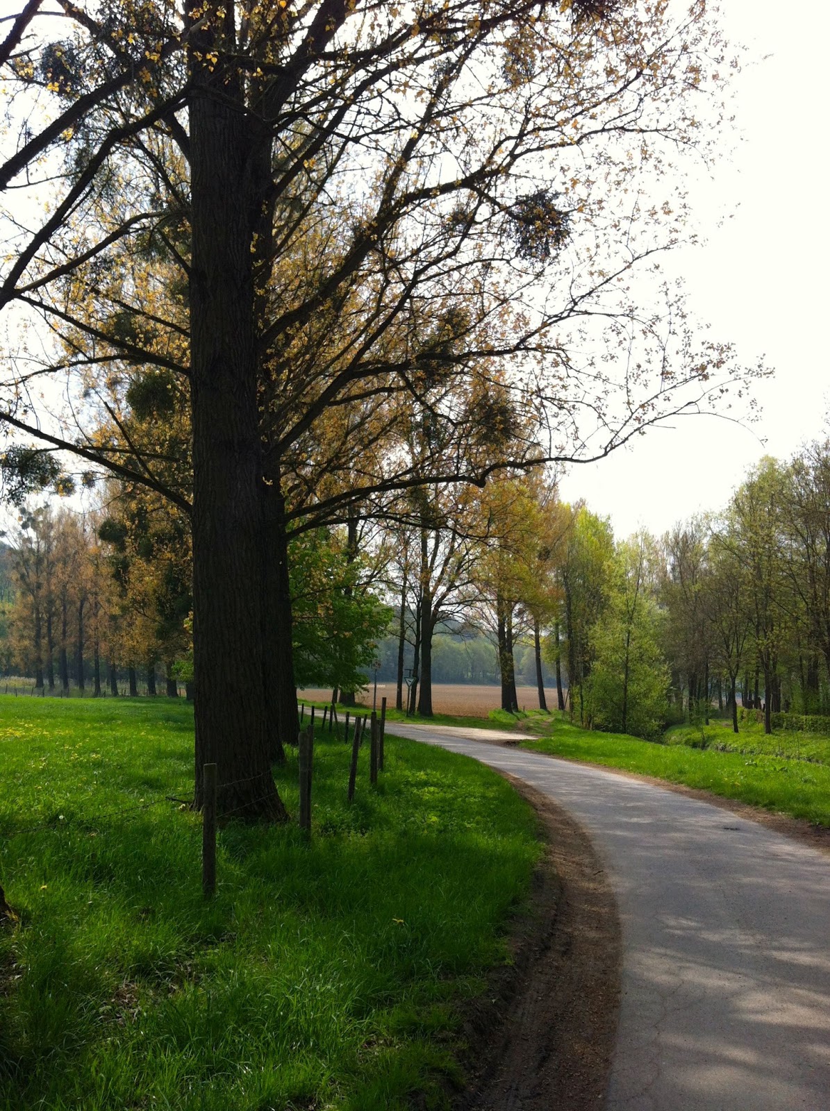 PMHORBACH: Von Rimburg durch die Wurmauen bei Wildnis - 1