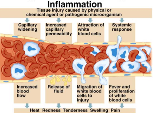 상처 빨리 낫는 법을 알아보자-wound healing ~ Healthy Happy