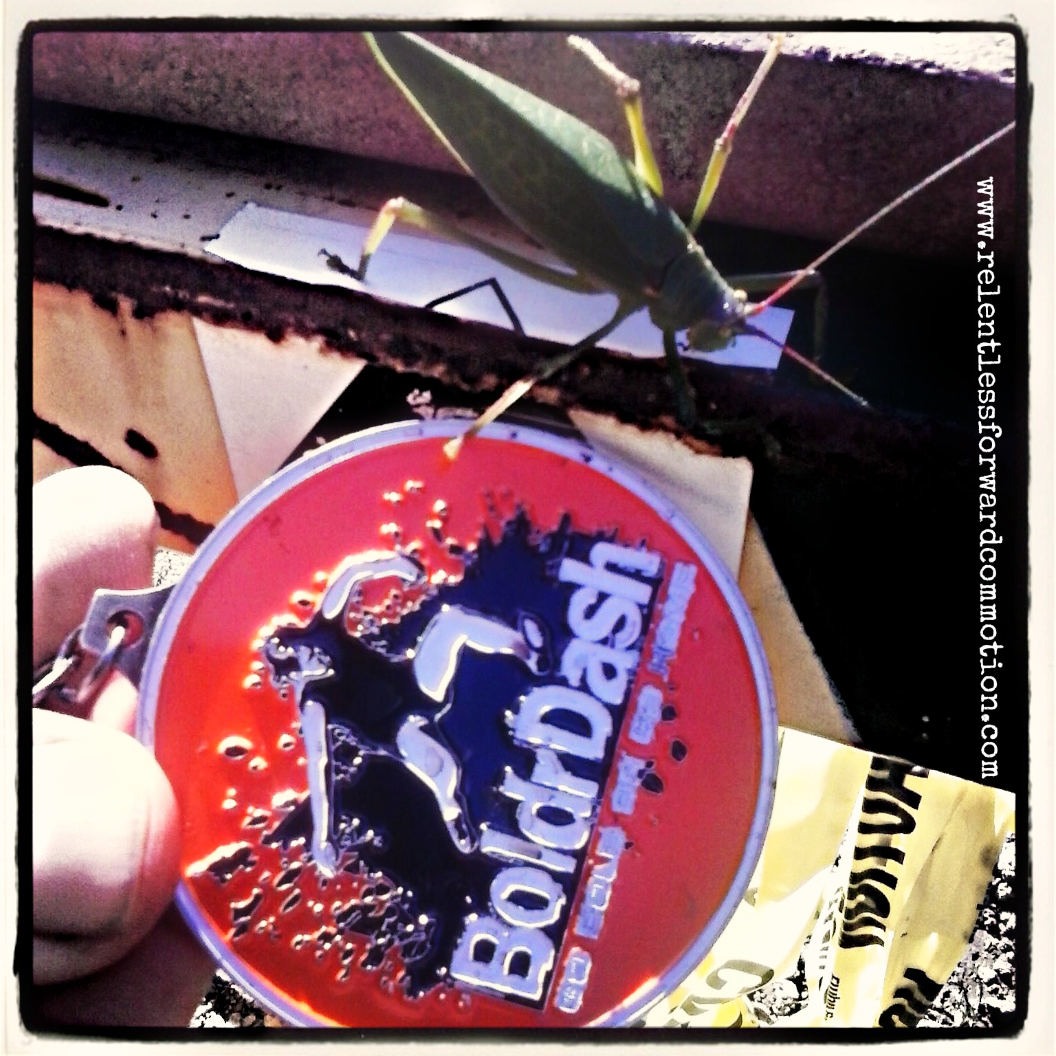 BoldRDash Race Review - Yawgoo Valley - RELENTLESS FORWARD COMMOTION