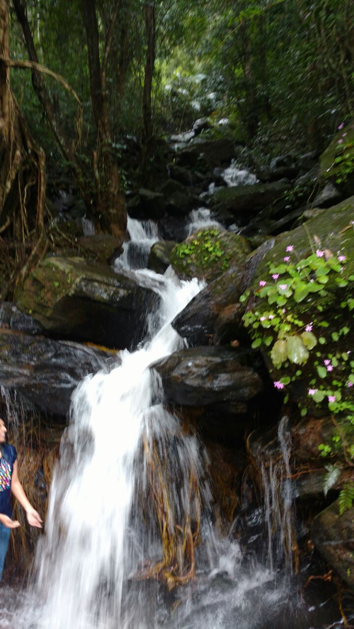 Enchanting Elaneer Falls!