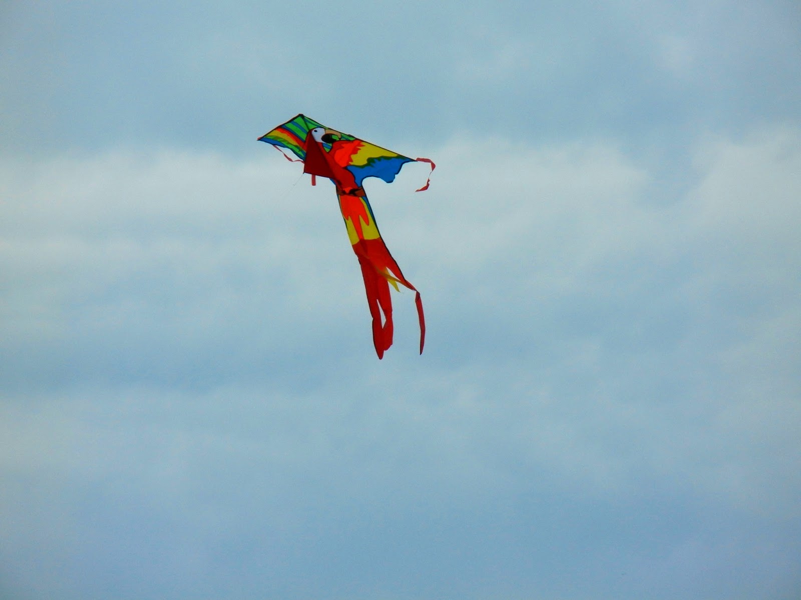 You Don't Look Sick - Living with Rheumatoid Arthritis: FLYING AS HIGH ...