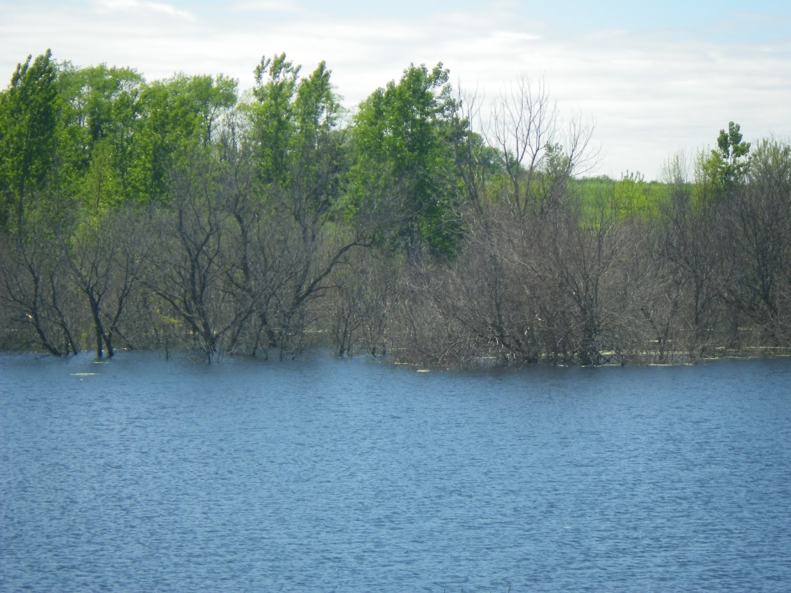 The Lost Grove Lake Mapping Project: It's Getting Closer To Full