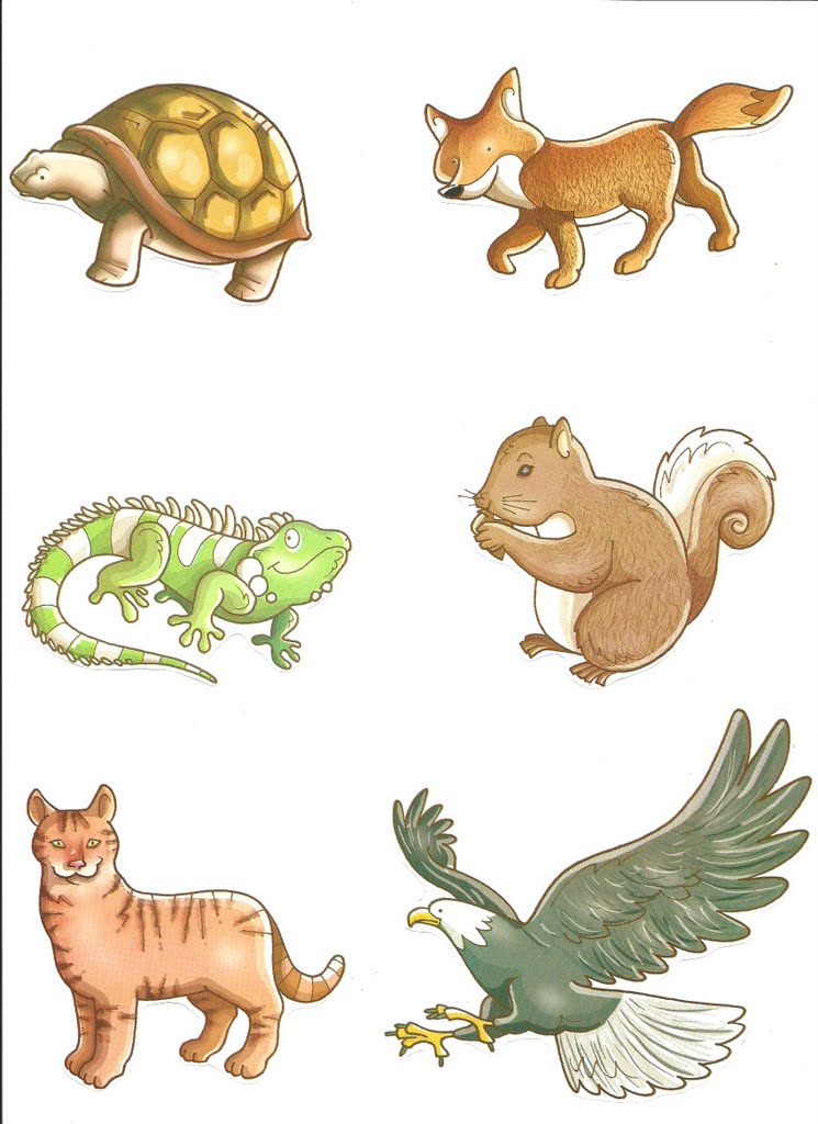 Eduquemos con amor: LAMINAS ANIMALES