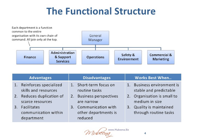 Ian's A/S Business Blog: Functional v's Matrix Management