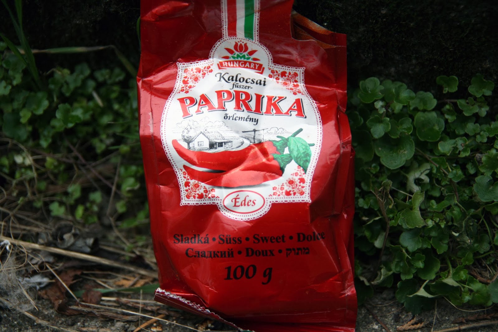 Mushroom Paprikash with Nokedli Recipe | mostly foodstuffs