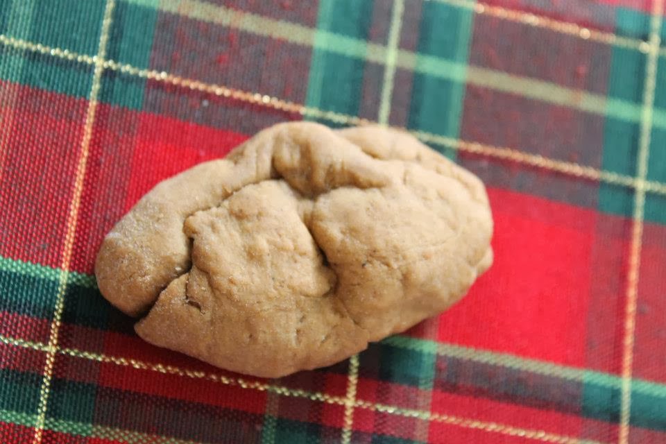 The Bees’ RV: Guido, Our Christmas Baker (Gingerbread Cookies)