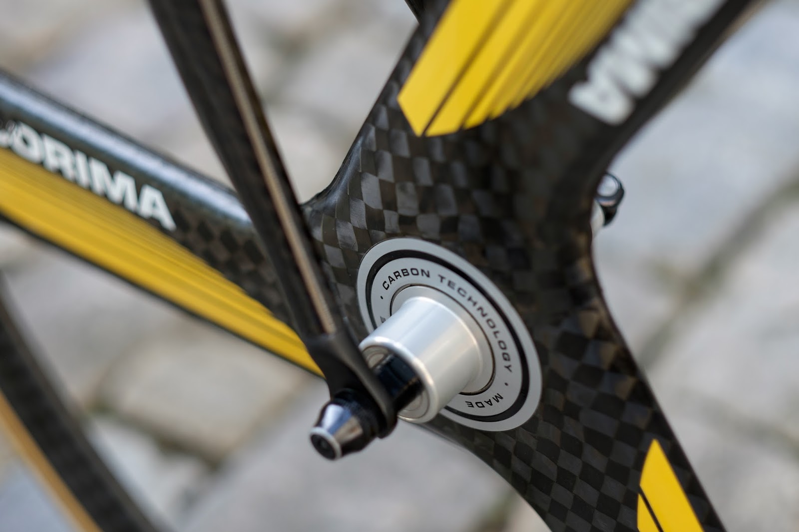 Zuwachs im Zoo: Corima Fox