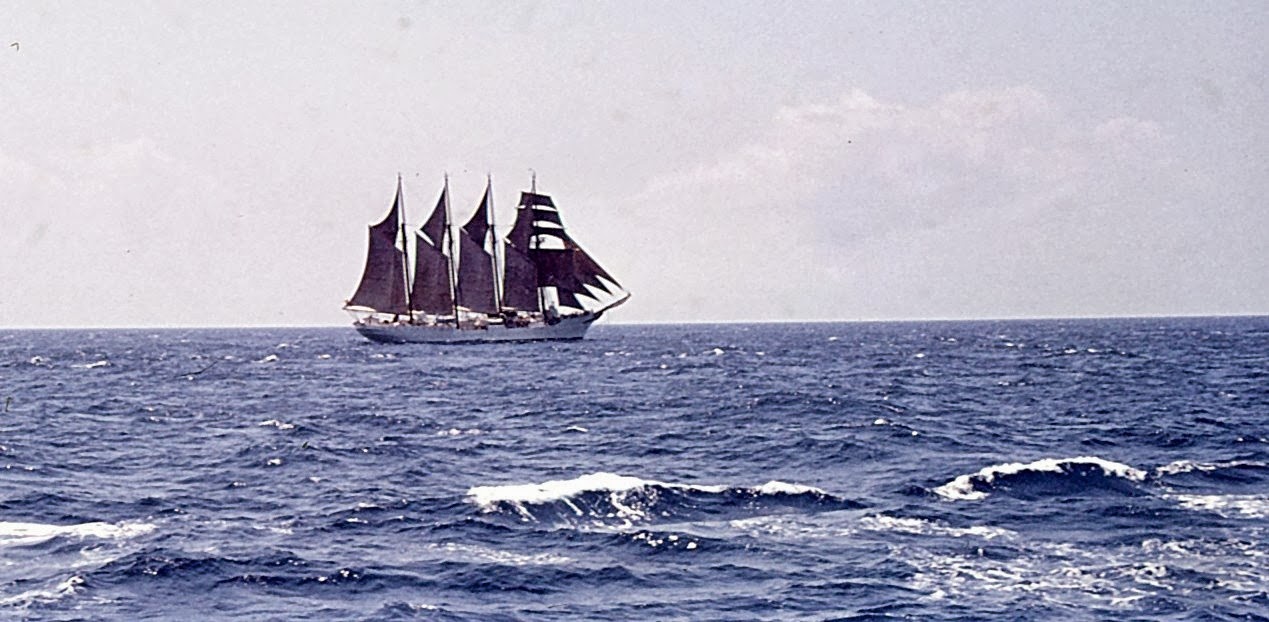 'ZIEN EN WETEN': ONOBA S.S. SHELL TANKERS B.V. (DEEL 2-B)