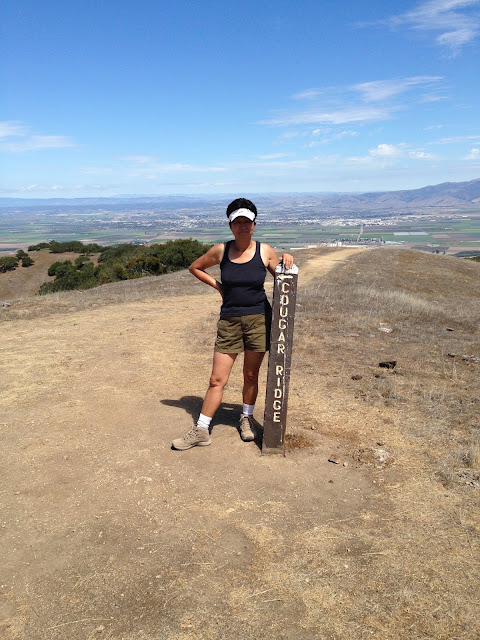 Joy of Hiking: Toro Park Trails