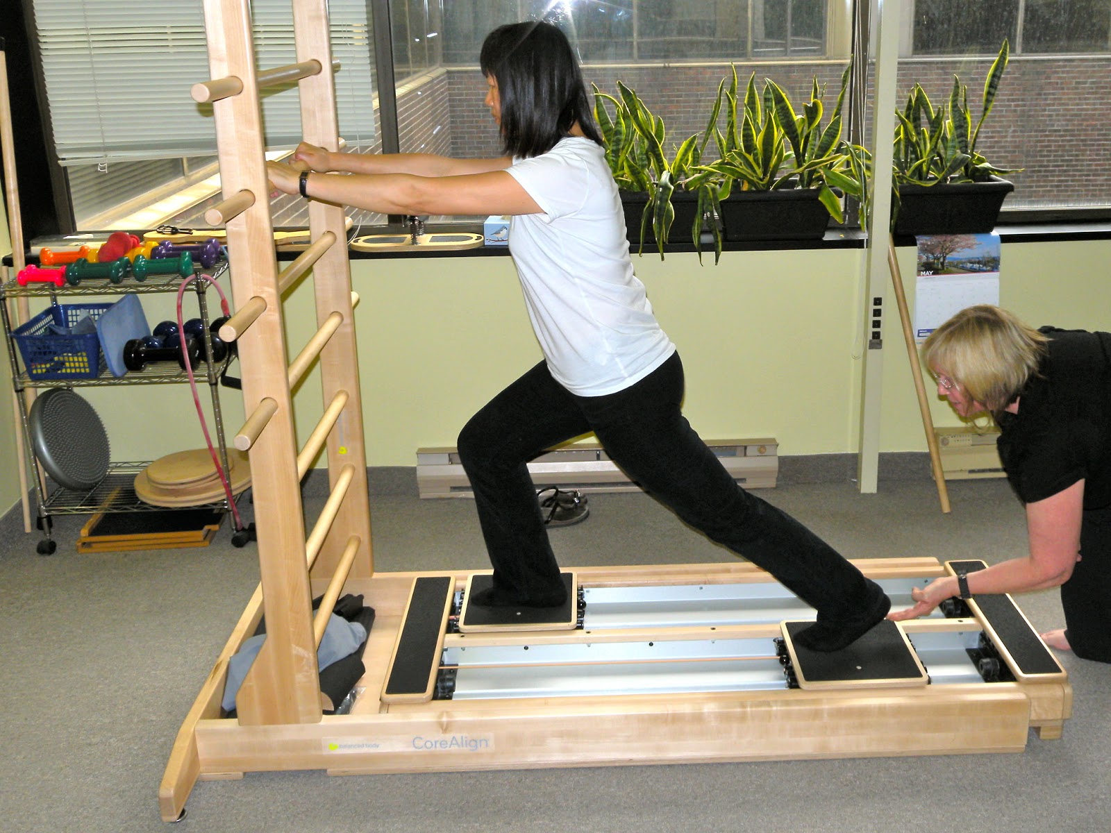+ Pilates: Improving posture, balance and functional movement using the ...