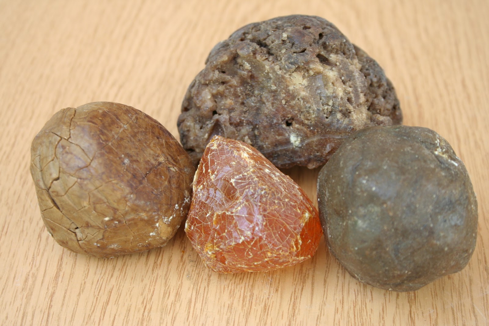 El Museo del Diletante *: Objetos antiguos olvidados = Cerote