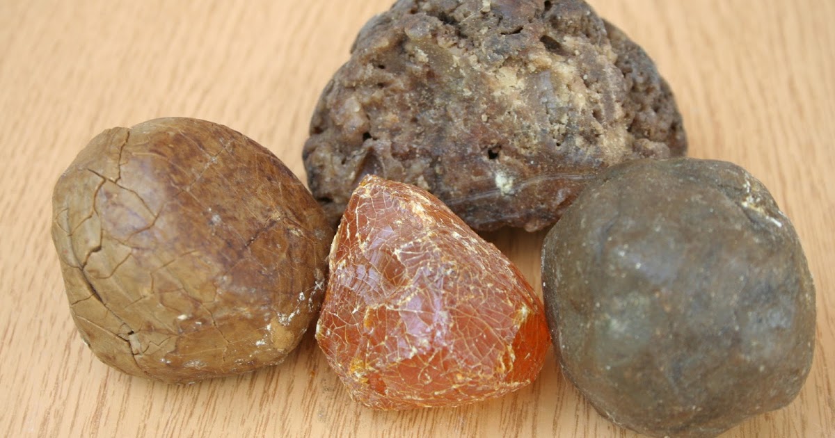 El Museo del Diletante *: Objetos antiguos olvidados = Cerote