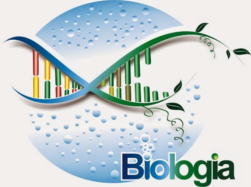 Biologia Diversa | TUDO SOBRE BIO - ENEM, Vídeo-Aulas, Exercícios ...