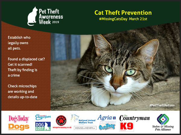 The 2019 Cat Theft Report