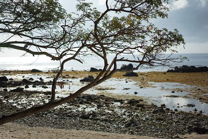 Julie's Thoughts and Travels: Vista Minmar