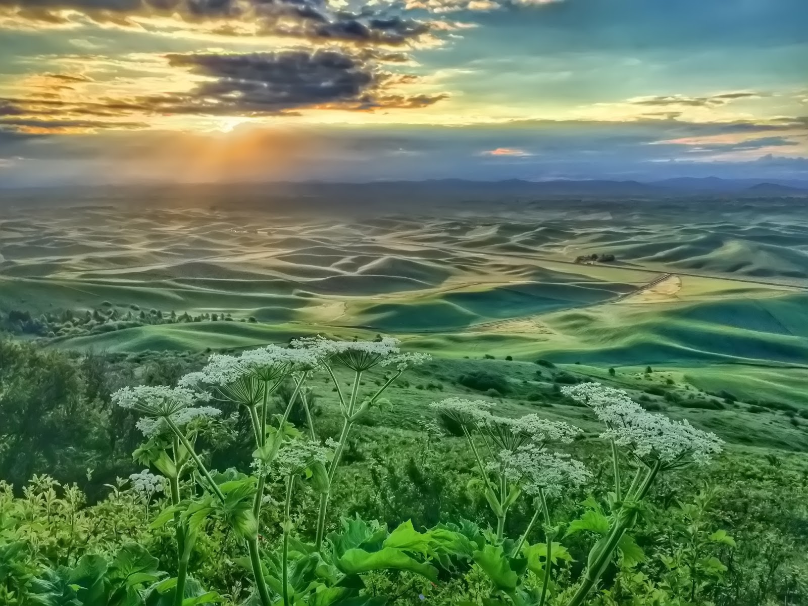 Palouse Photography Tours: June 2015