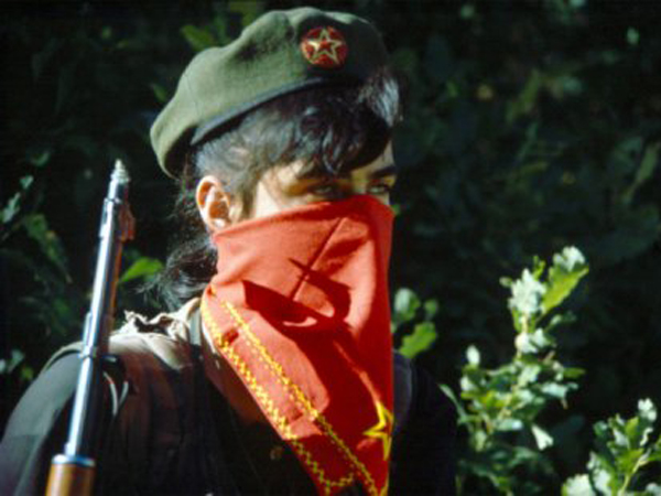 Guerrillas in the Midst