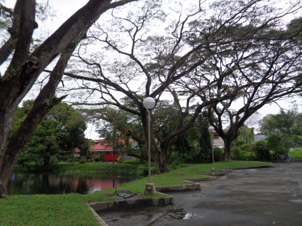 Sta Clara Chapel @ Sta Clara, Bacolod, Negros Occidental